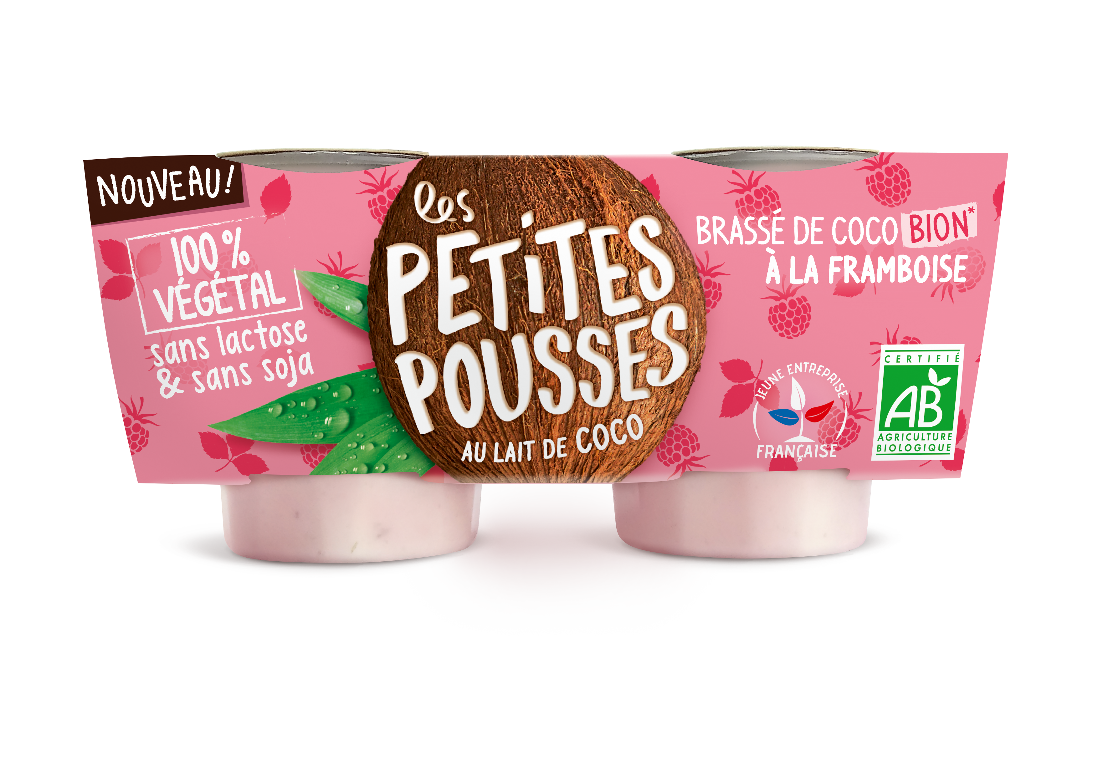 Brassé de Coco à la Framboise - Le vrai faux yaourt végétal